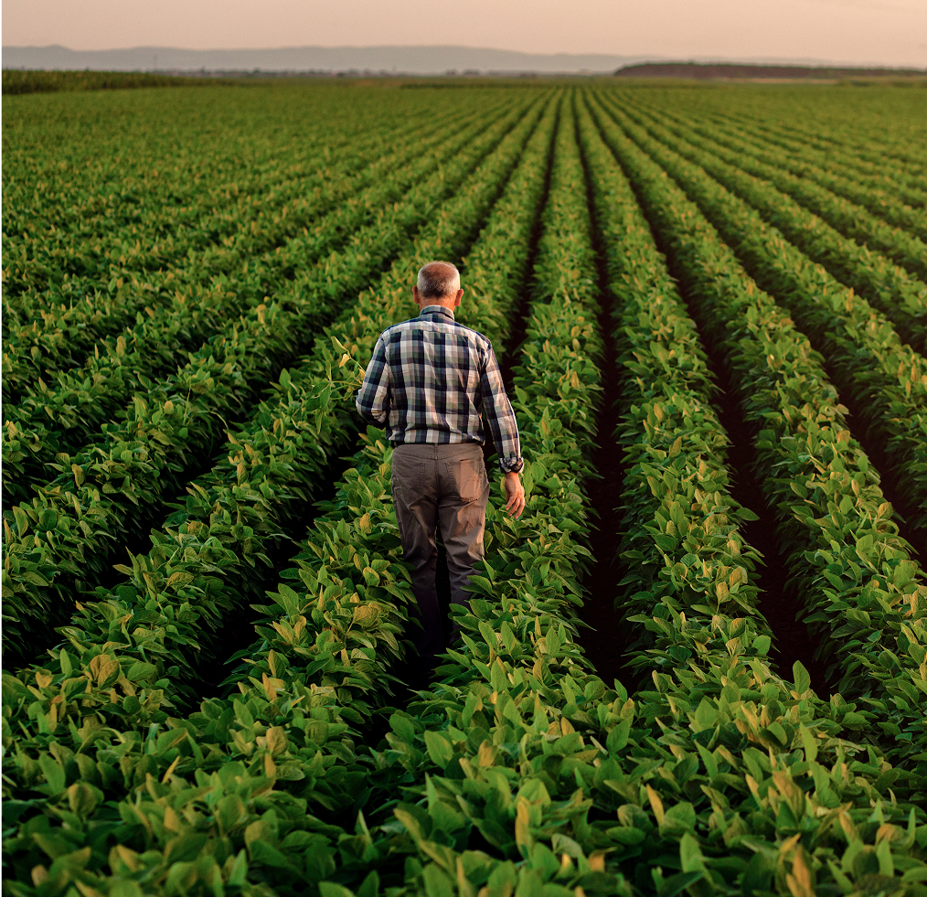 Landera Ag | Financing, Equipment & Real Estate Loans